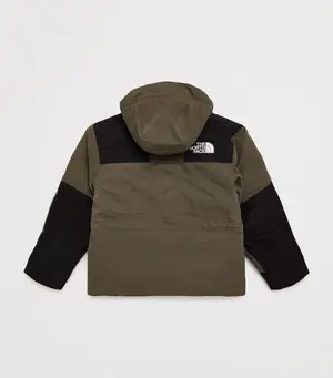 The North Face Mountain Down Jacket