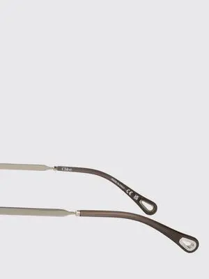 Chloé Ch0348s Metal Sunglasses