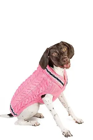 CHILLY DOG Cable Knit Dog Sweater