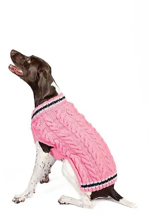 CHILLY DOG Cable Knit Dog Sweater
