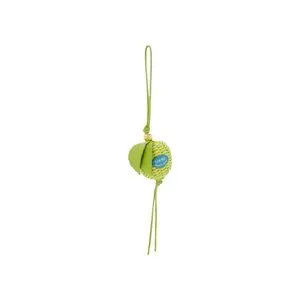 Loewe Granny Apple Charm - Green