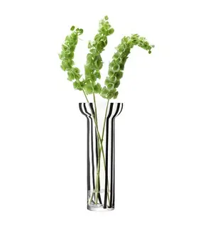 LSA INTERNATIONAL Glass Stripe Vase