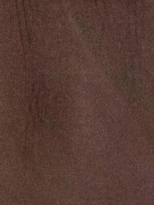 Corneliani Fringed Scarf - Brown