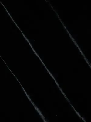 L'Agence Saint Velvet Gown