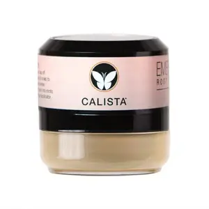 CALISTA Embellish Root Touch-up Ash Blonde