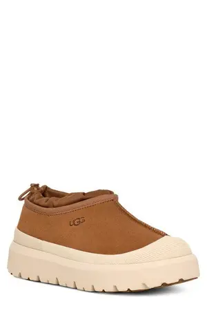 Ugg Waterproof Shoes For Men