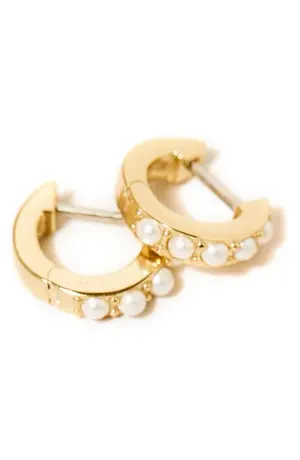 ANA LUISA Ashley Hoop Earrings