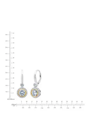CRISLU 2-tone Halo Leverback Earrings