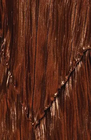 Anna Sui Fortuny Pleats Skirt
