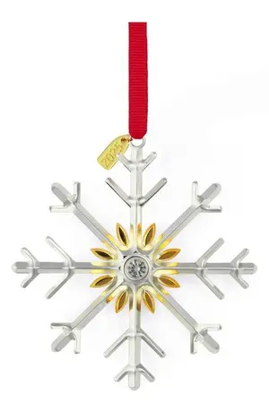 NAMBE 2025 Annual Snowflake Ornament - Silver