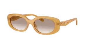 COACH Sunglasses - Light Brown Gradient