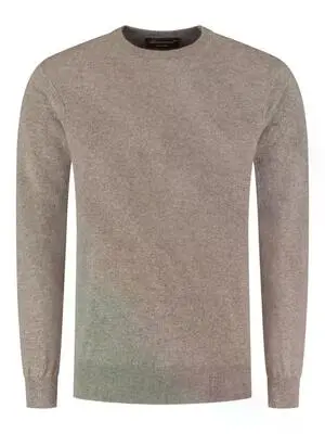 DORIANI Crew-neck Knitted Sweater