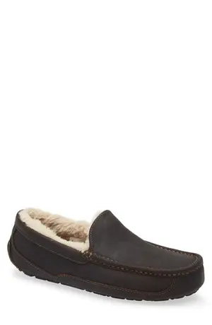 Ugg Loafer Shoes For Men