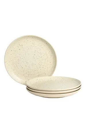 STONE + LAIN Dua Stoneware 4-piece Dinner Plate Set