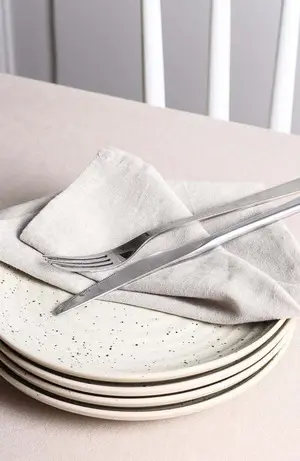 STONE + LAIN Dua Stoneware 4-piece Dinner Plate Set