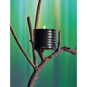 Loewe Palo Santo Small Scented Candle 170g
