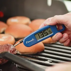ESCALI Compact Folding Digital Thermometer - Blue