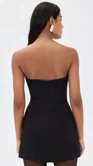 Bardot Arvess Strapless Mini Dress