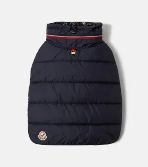 Moncler Genius Dog