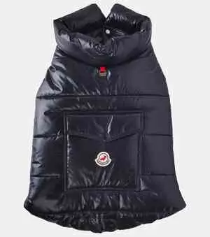 Moncler Genius Dog