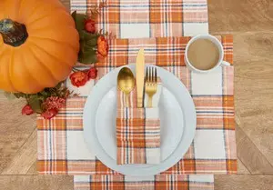 C&F HOME Gibson Plaid Placemats Set Of 6