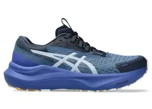 Asics Gt2000 14