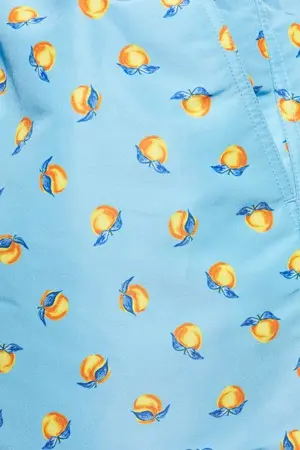 Paul Smith Printed Swim Shorts