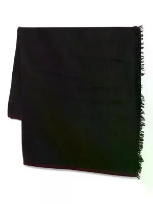 Faliero Sarti Fringed-edge Wool Scarf - Brown