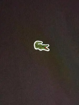 Lacoste Logo-embroidered Crew-neck Sweater
