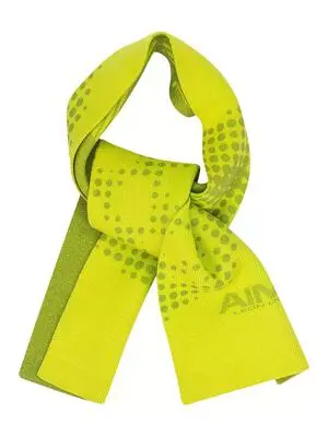 Aimé Leon Dore Wool Scarf - Green