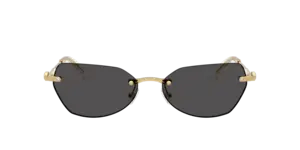 SWAROVSKI Sunglasses - Dark Grey