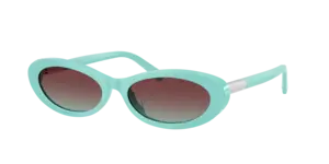 Tiffany & Co. Striped Black Sunglasses - Azure,burgundy