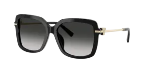 Tiffany & Co. Sunglasses Grey Gradient
