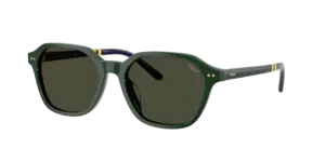 Polo Ralph Lauren Sunglasses - Brown