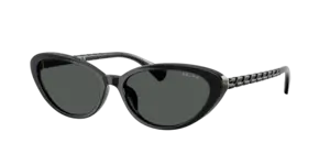 Ralph Lauren RA5338U Sunglasses Grey Gradient