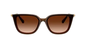 SWAROVSKI Sk6054d Sunglasses - Gradient Brown