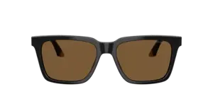 Emporio Armani Sunglasses - Brown