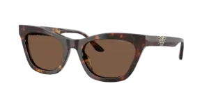 Emporio Armani Sunglasses - Brown