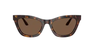 Emporio Armani Sunglasses - Brown