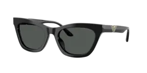 Emporio Armani Sunglasses - Dark Grey