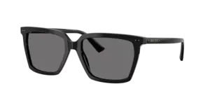 JIMMY CHOO Sunglasses Dark Gray
