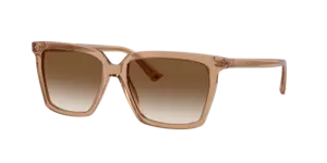 JIMMY CHOO Sunglasses - Gradient Brown