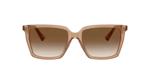 JIMMY CHOO Sunglasses - Gradient Brown
