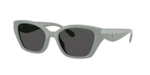 COACH Full Rim Sunglasses - Grey Solid
