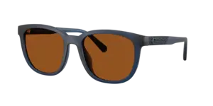 COACH Sunglasses Amber Solid