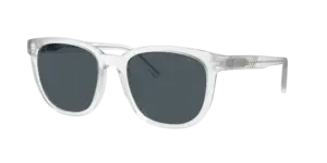 COACH Sunglasses - Blue Grey Solid