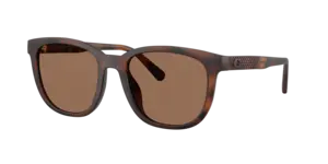 COACH Sunglasses Brown Solid