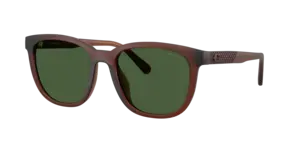 COACH Tortoiseshell Wayfarer Sunglasses - Green Solid