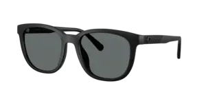 COACH Tortoiseshell Wayfarer Sunglasses - Grey Solid Polarized