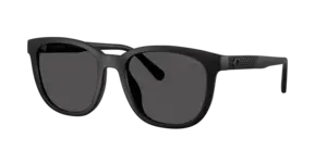 COACH Sunglasses Grey Solid
